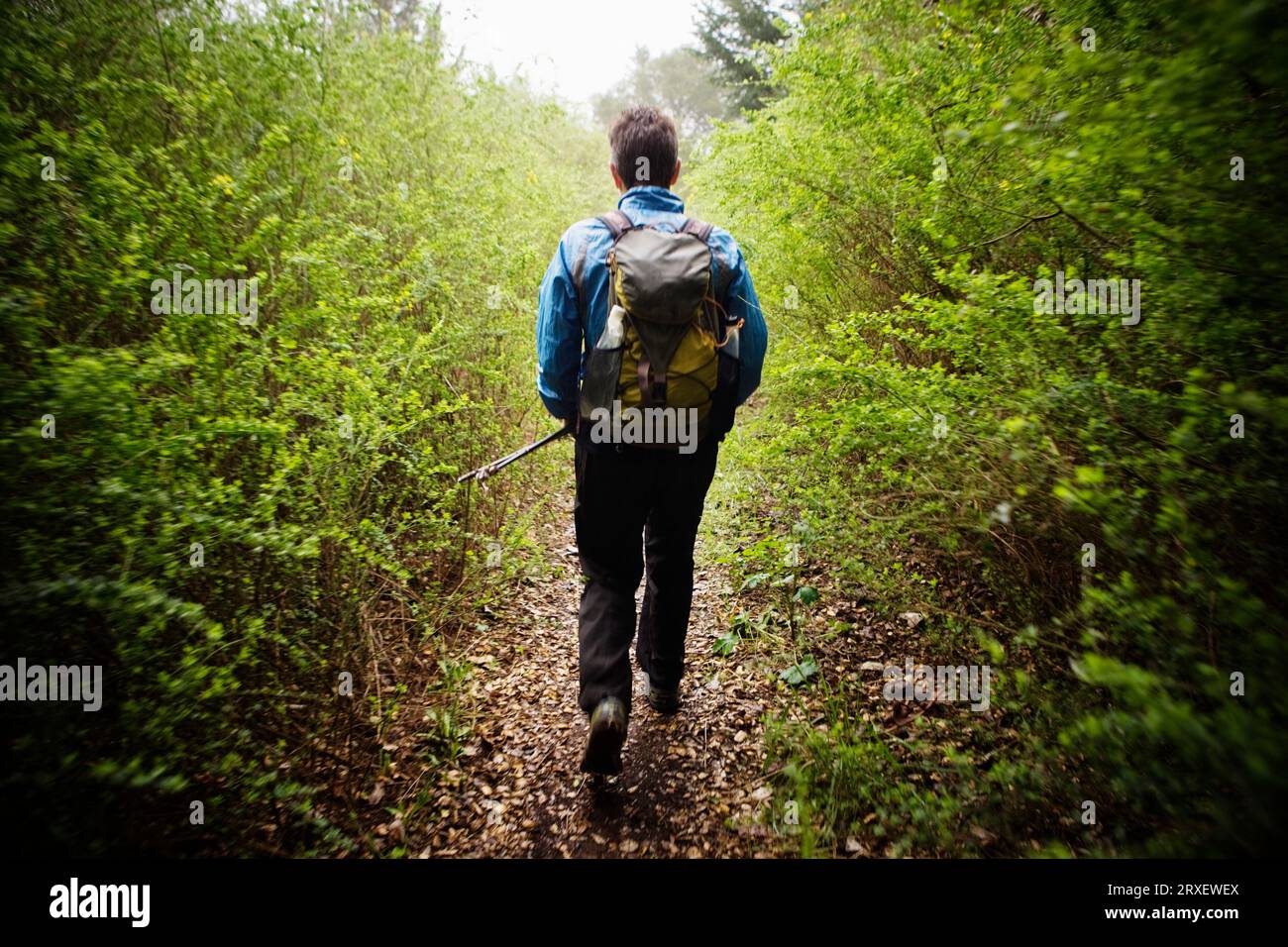 The rear view of a woman hiker Stock Photo - Alamy