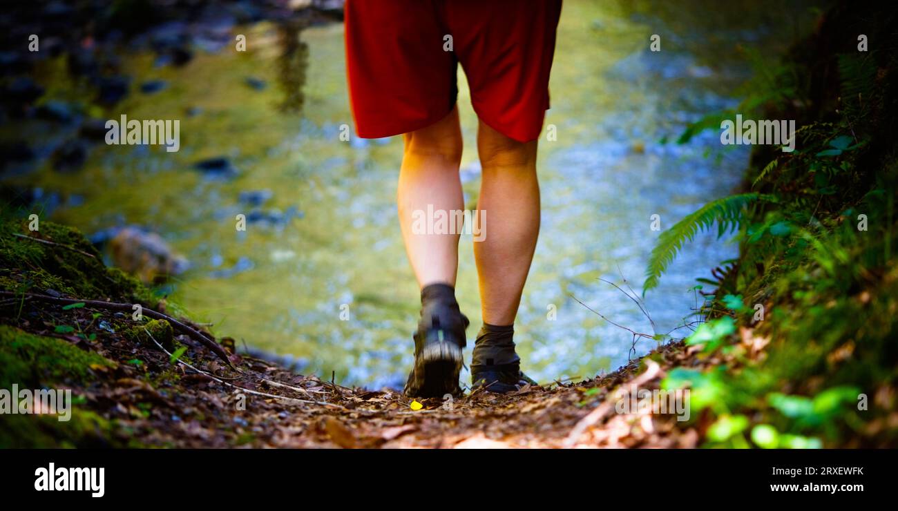 Rear view of a female hikers legs Stock Photo - Alamy