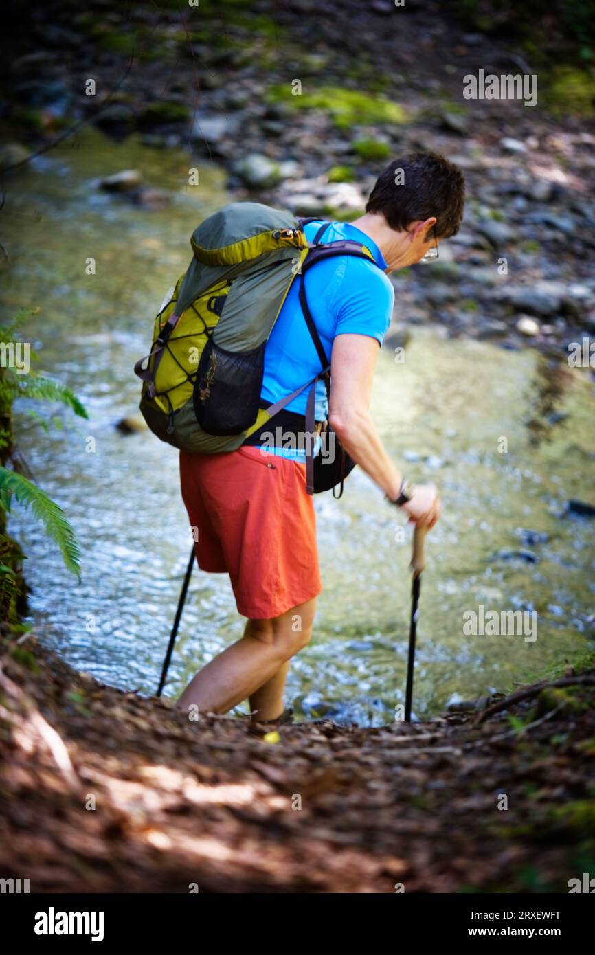 A female hikers using trekking poles Stock Photo - Alamy