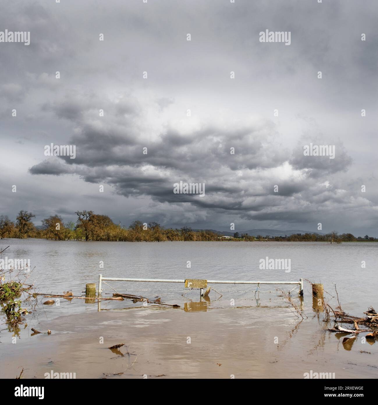 Storm clouds over the flooded Laguna de Santa Rosa in Sonoma County ...