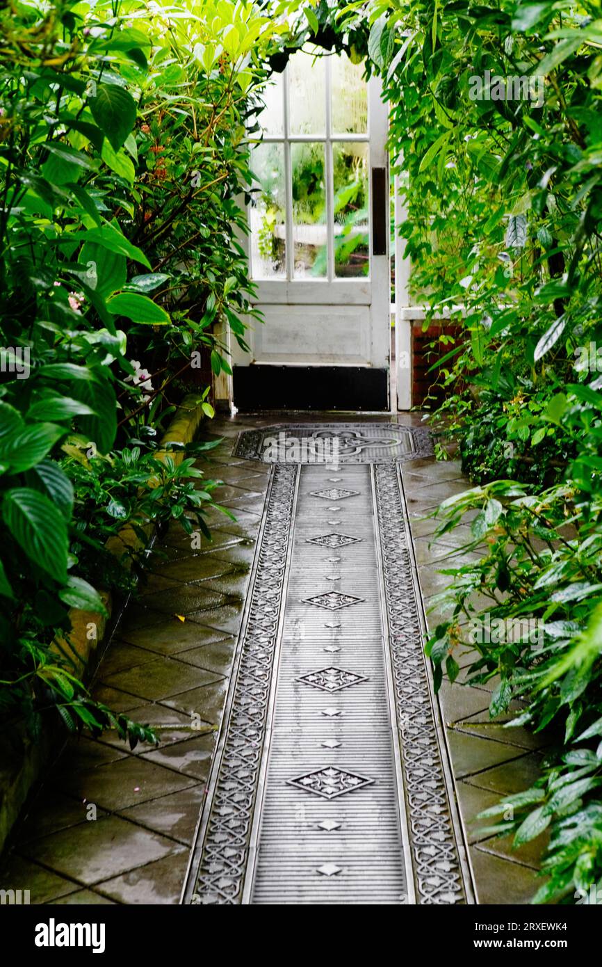 Lush green foliage, walk way and glass paned door Stock Photo - Alamy