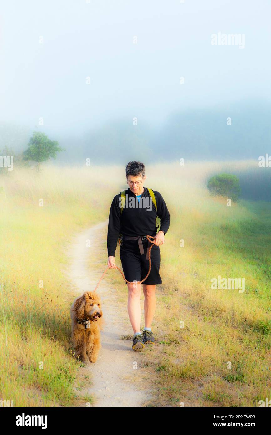 Elevated front view of a woman walking her dog Stock Photo - Alamy
