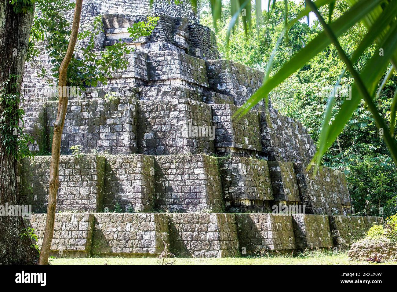Yaxha temple guatemala hi-res stock photography and images - Alamy