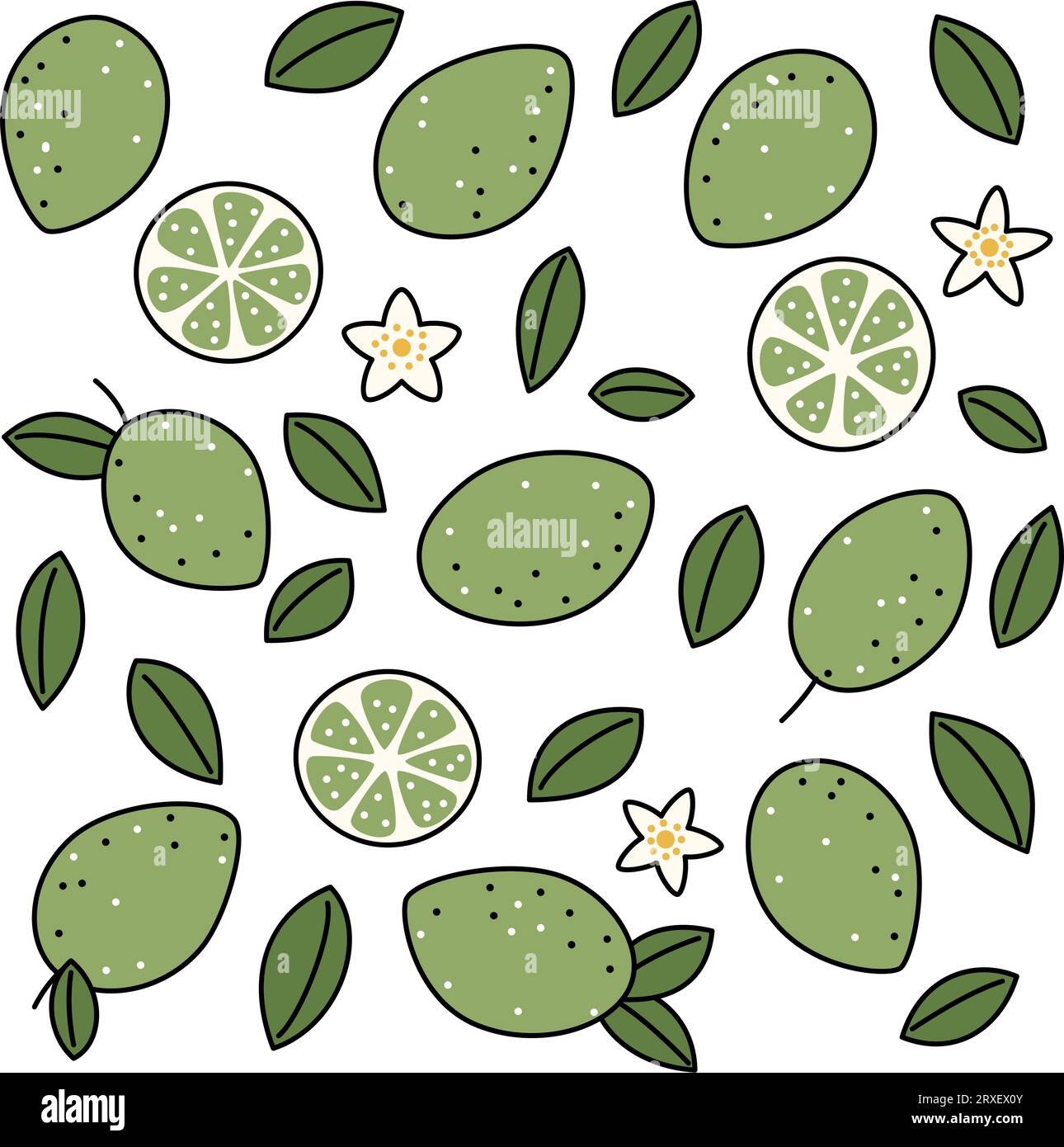 Set with line elements lime, leaves and flowers for decoration Stock Vector Image & Art - Alamy