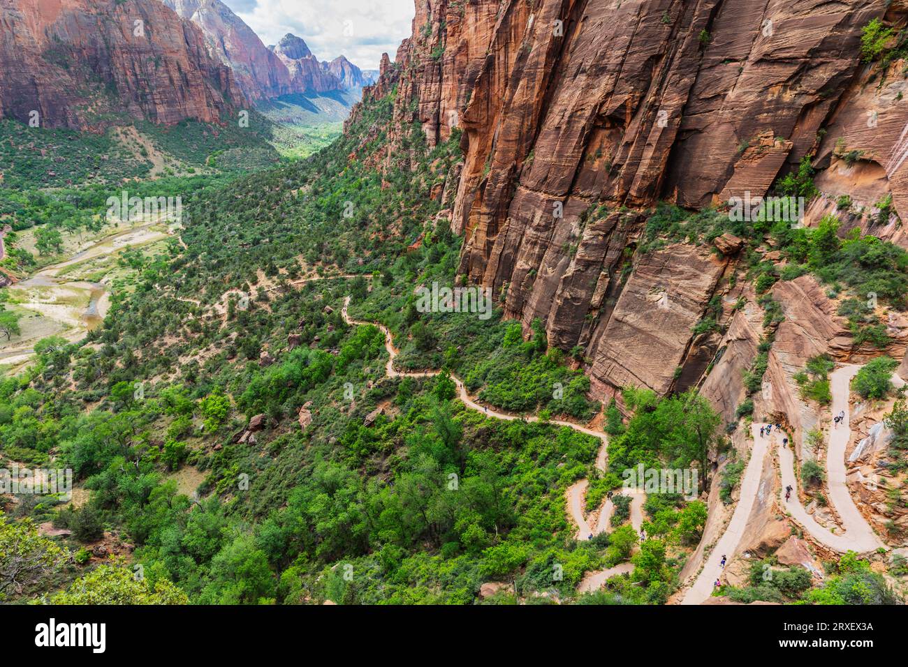 High angle view of switchbacks on trail to top of Angels Landing in ...