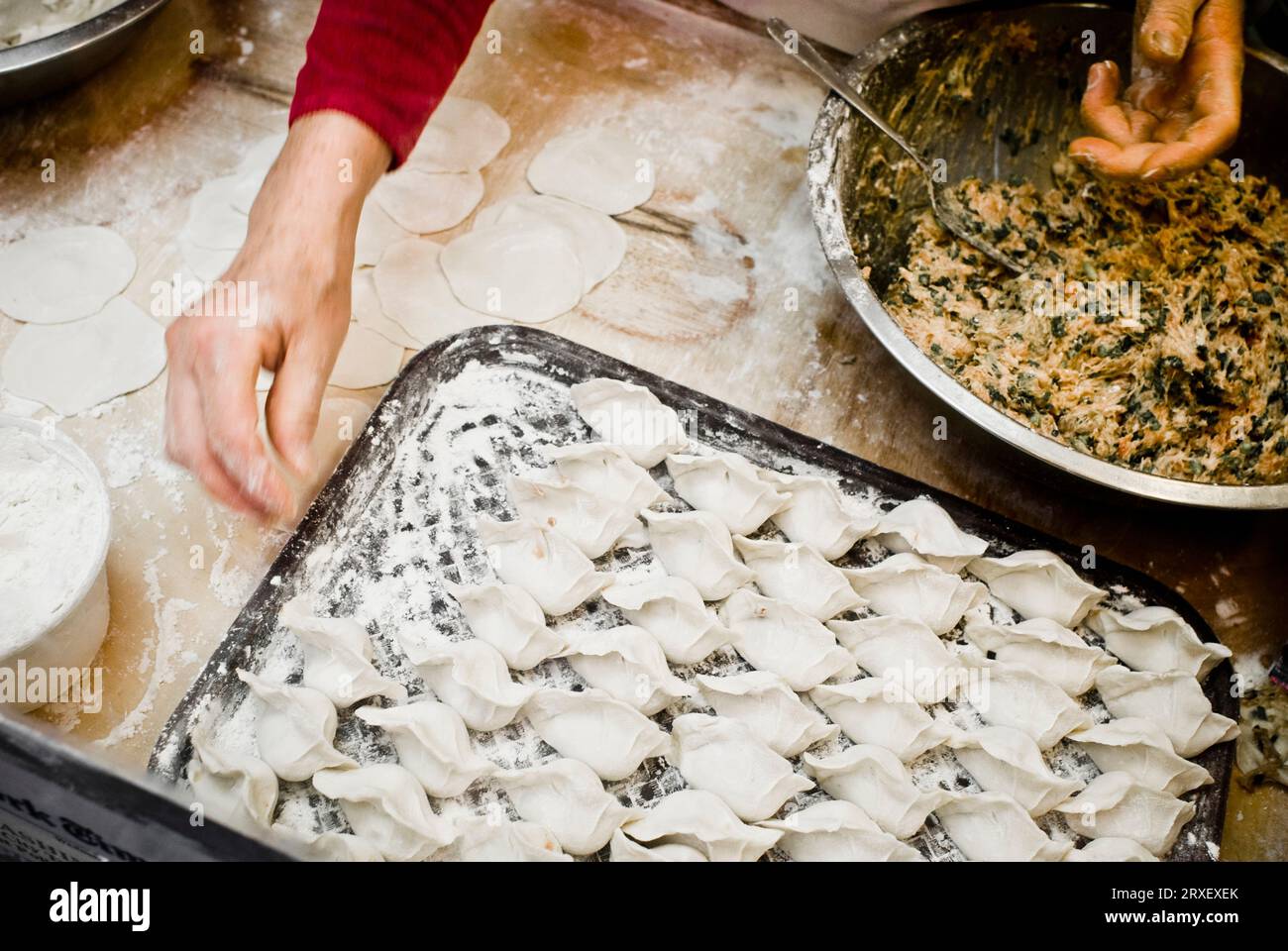 Close up of hands making Chinese dumplings. One hand is reaching for a ...