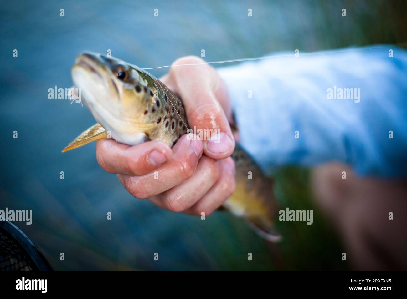 Human being horizontal hi-res stock photography and images - Alamy