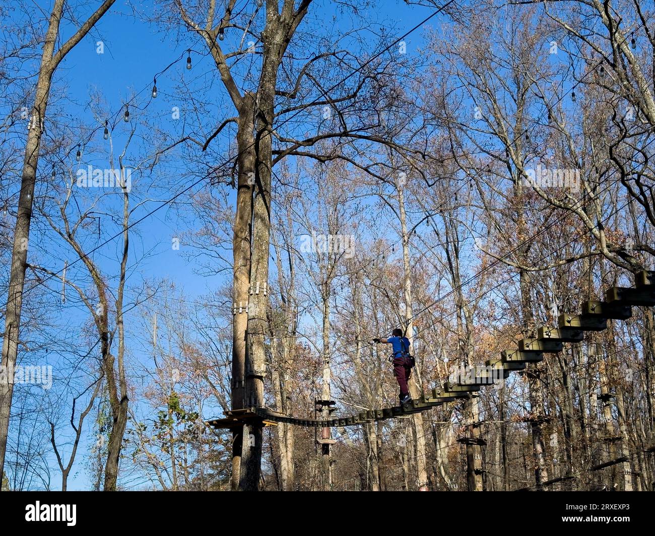 Brave boy conquering a ropes course challenge Stock Photo - Alamy