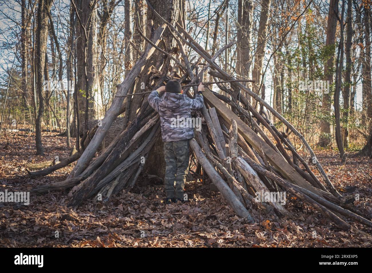 Young boy using sticks to build shelter in woods Stock Photo - Alamy