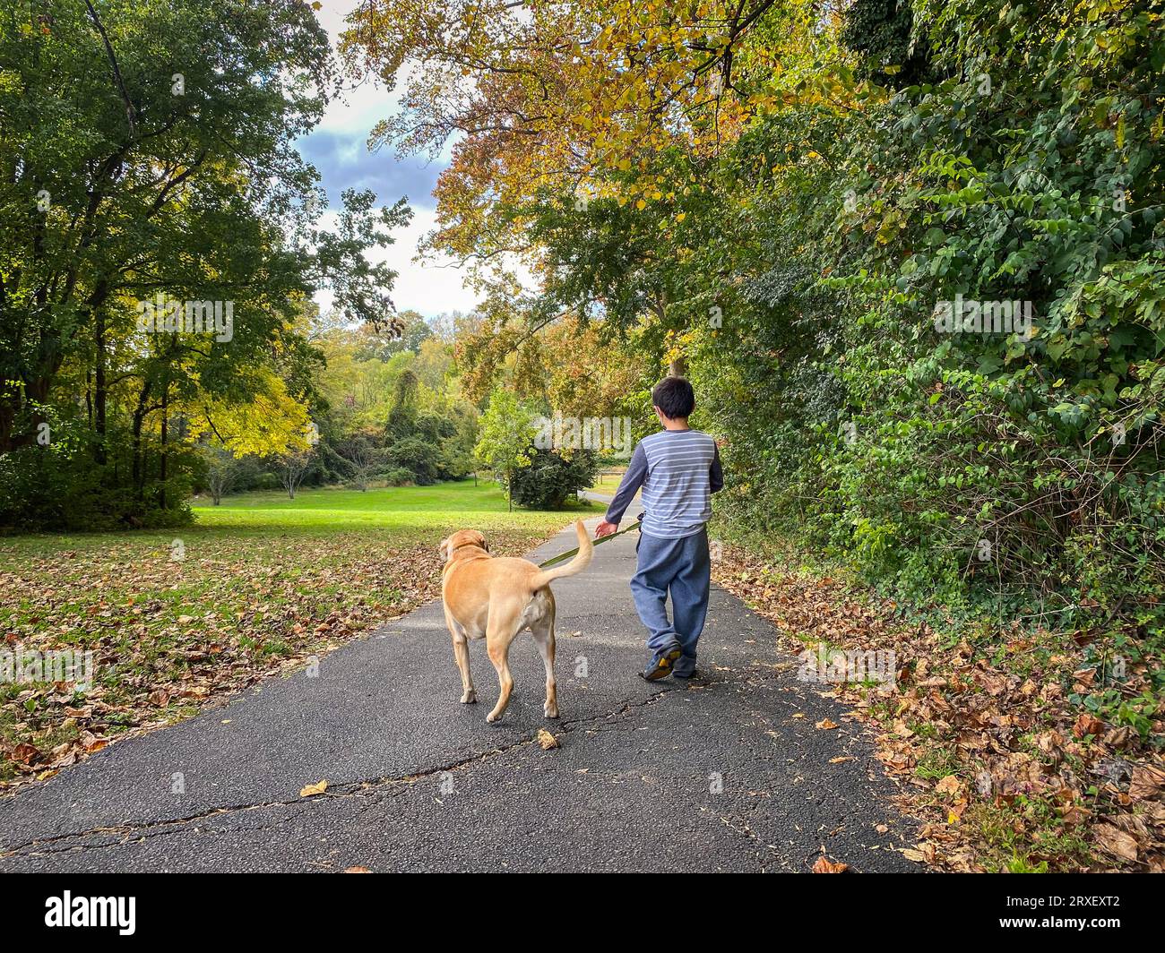 Boy walking dog on park path in fall Stock Photo - Alamy