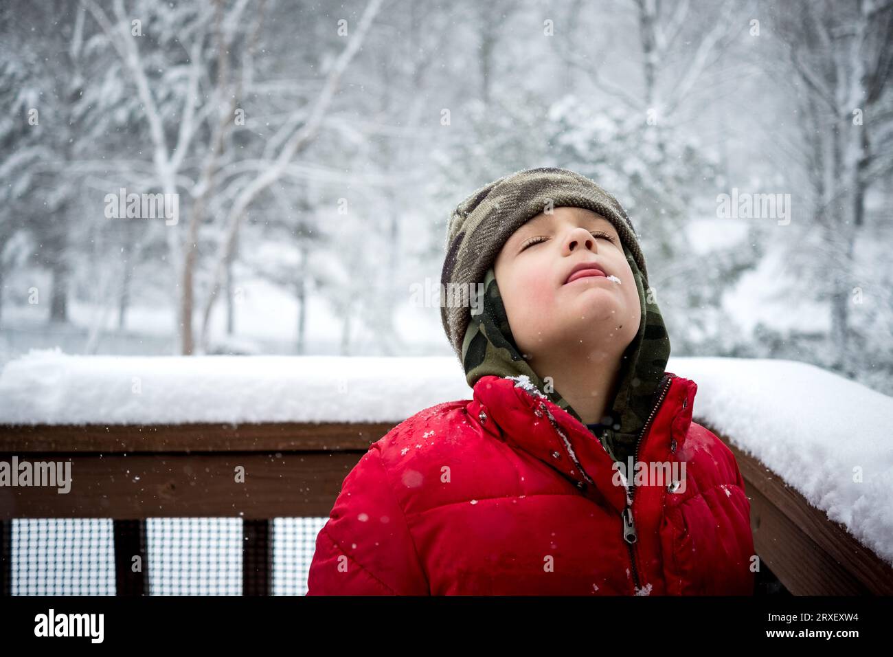 Young boy catching snowflakes on tongue on snowy winter day Stock Photo ...