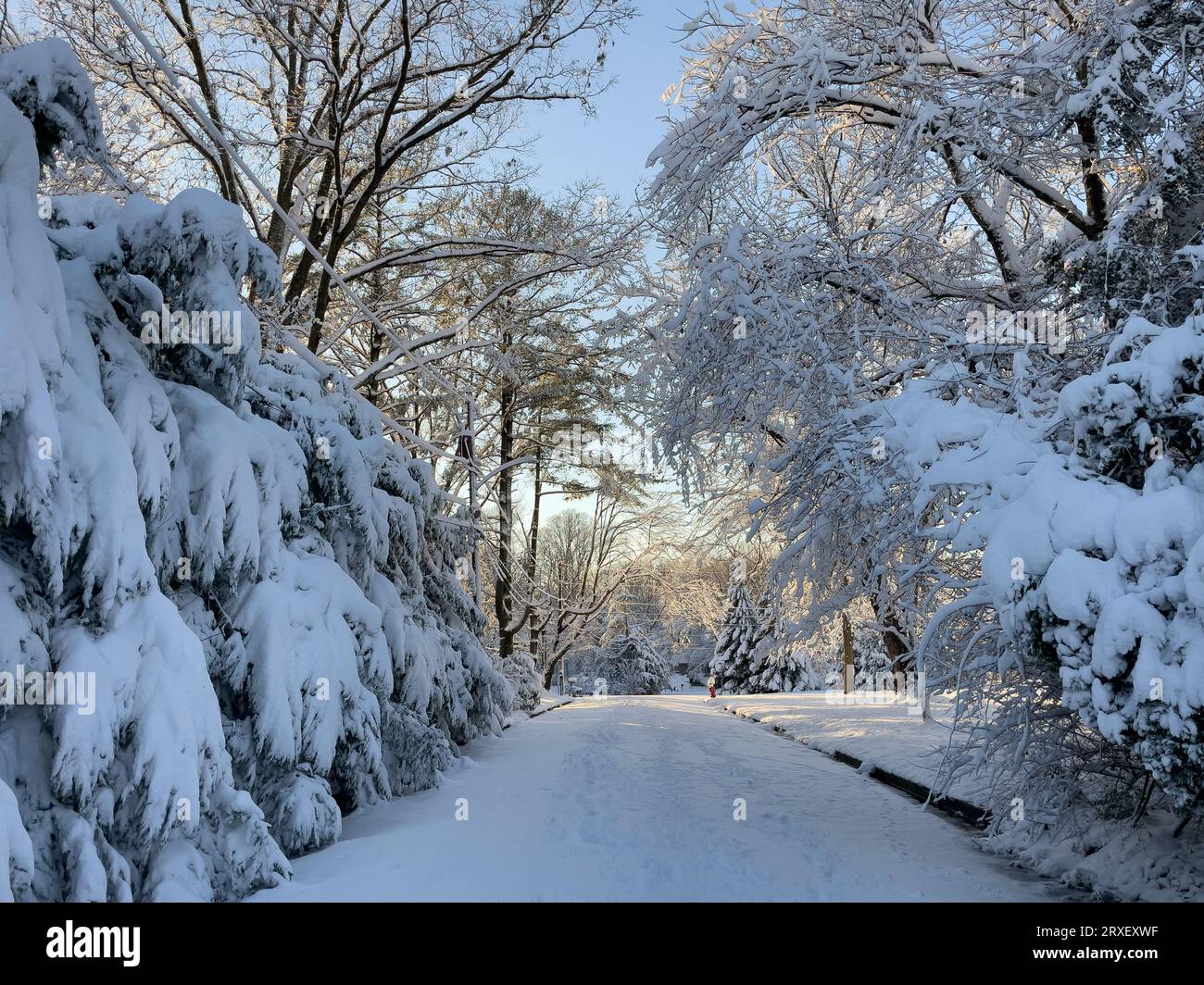Snowy winter landscape scene with blue skies Stock Photo - Alamy