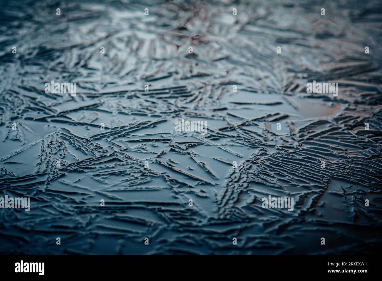 Blue ice sheet hi-res stock photography and images - Alamy