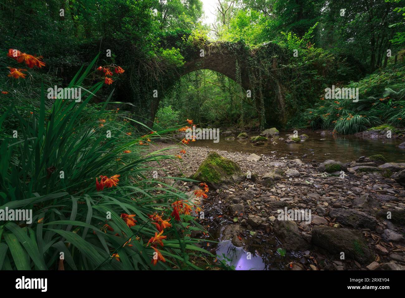 BILBAO'S MOST FAMOUS ROMAN BRIDGE Stock Photo - Alamy