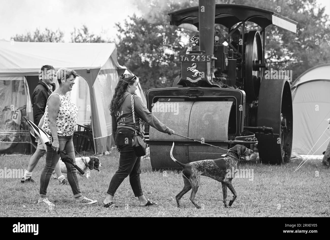 Stithians Steam Rally West of England Steam Engine Society Rally Show ...