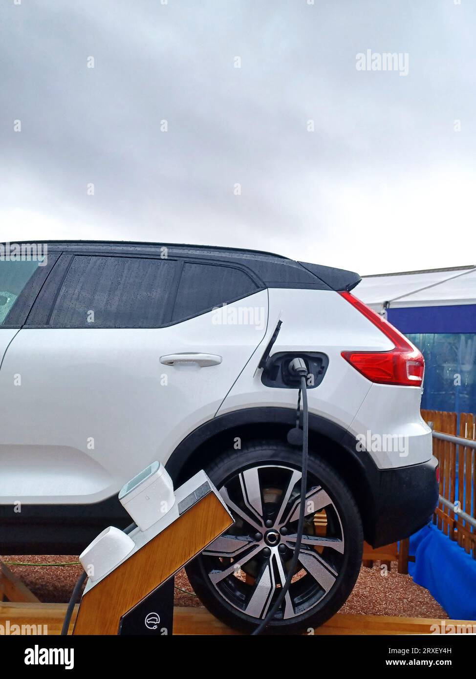 New white electric suv hi-res stock photography and images - Alamy