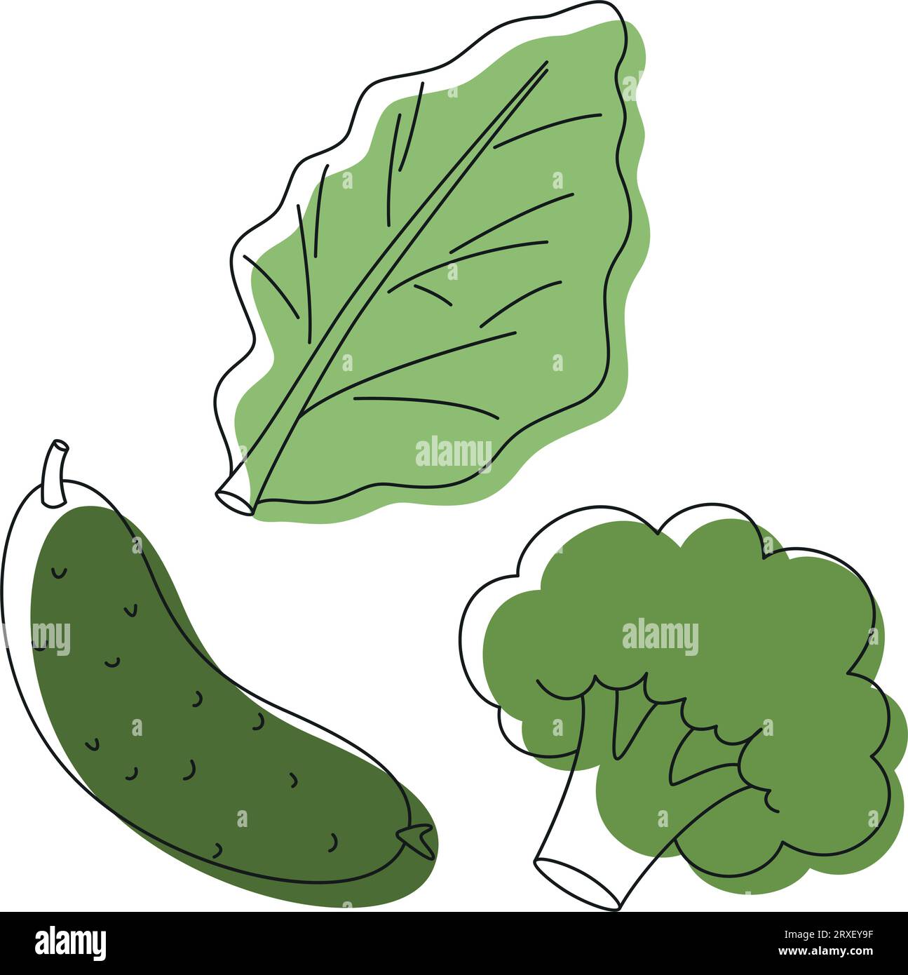 Farm fresh green vegetables doodle line set Stock Vector Image & Art ...