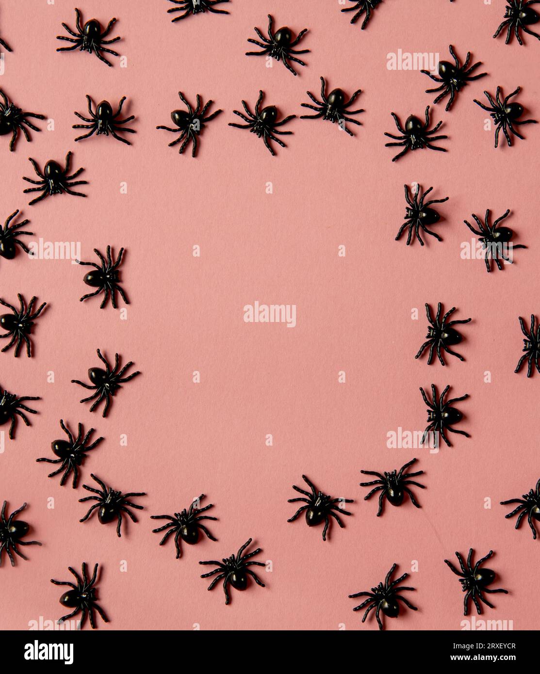 Lots of little spiders on a pink background Stock Photo - Alamy