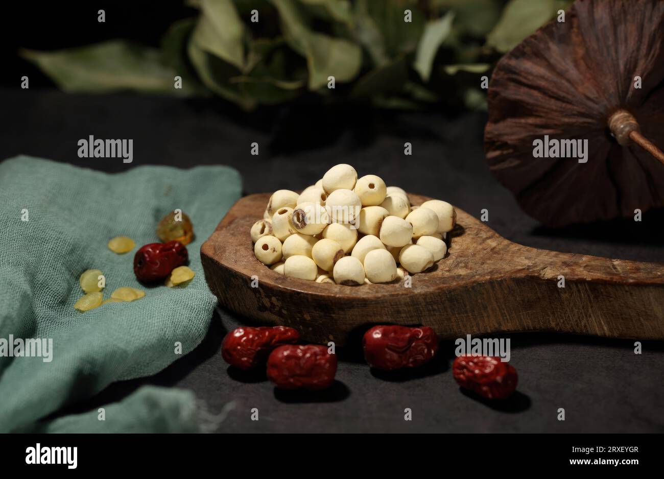 Images of lotus seeds with high-resolution photos, nutrient-rich, low ...