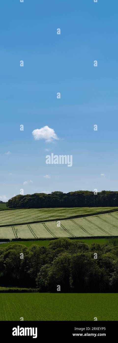 Fields of Green Penwith Cornwall Stock Photo - Alamy