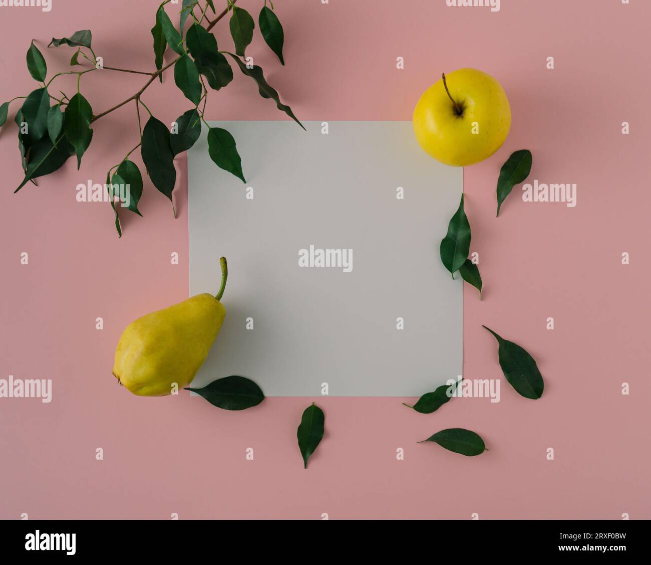 Nature note hi-res stock photography and images - Alamy