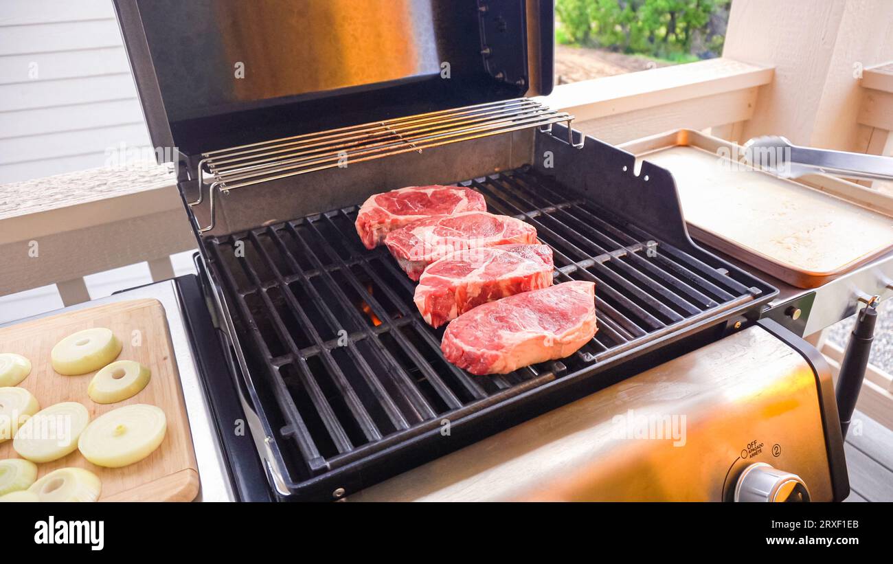 Two burner gas grill hi-res stock photography and images - Alamy