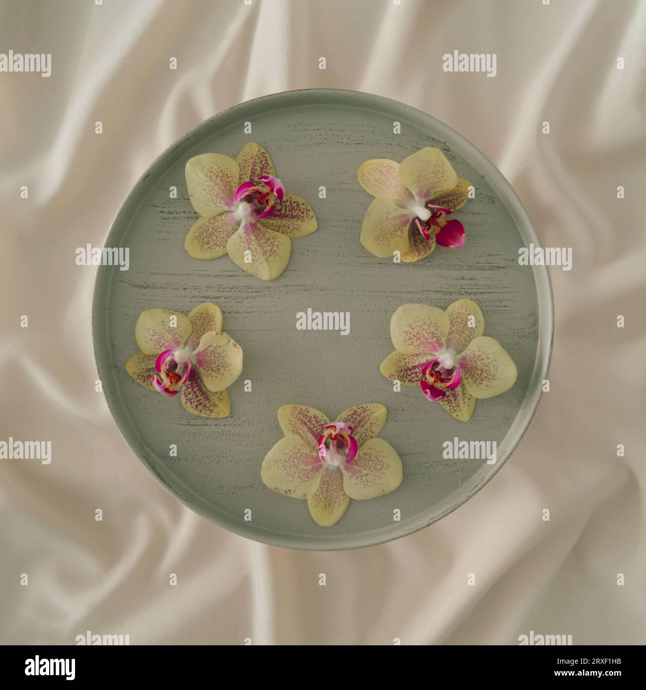 Creative minimal idea with exotic orchids on silk background. Flat lay ...
