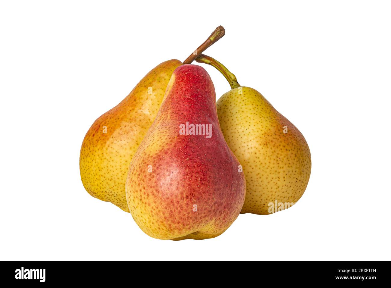 ripe forelle pears, isolated on white background. High quality photo ...