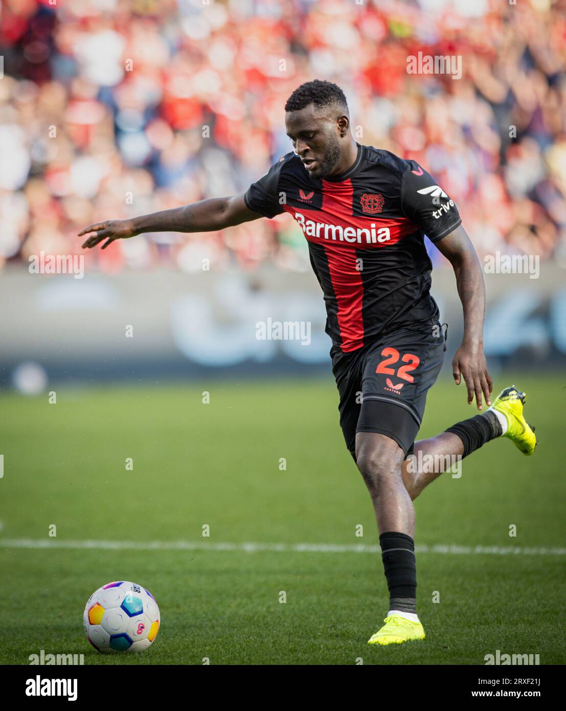 Leverkusen, Germany. 24th Sep 2023. Victor Boniface (Leverkusen) Bayer ...