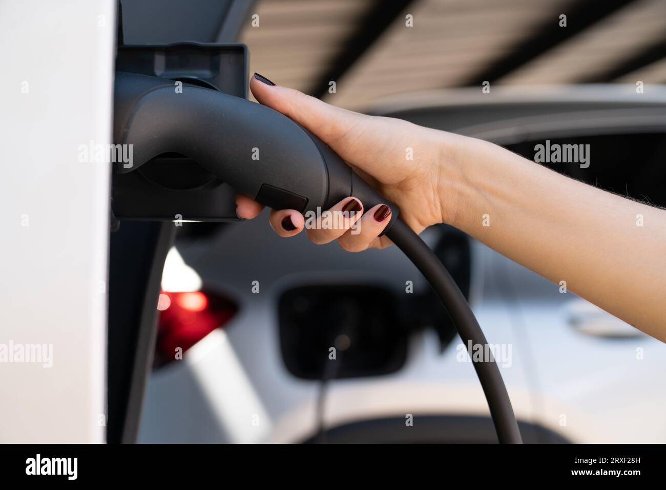Woman holding plug of electric car charging station Stock Photo - Alamy