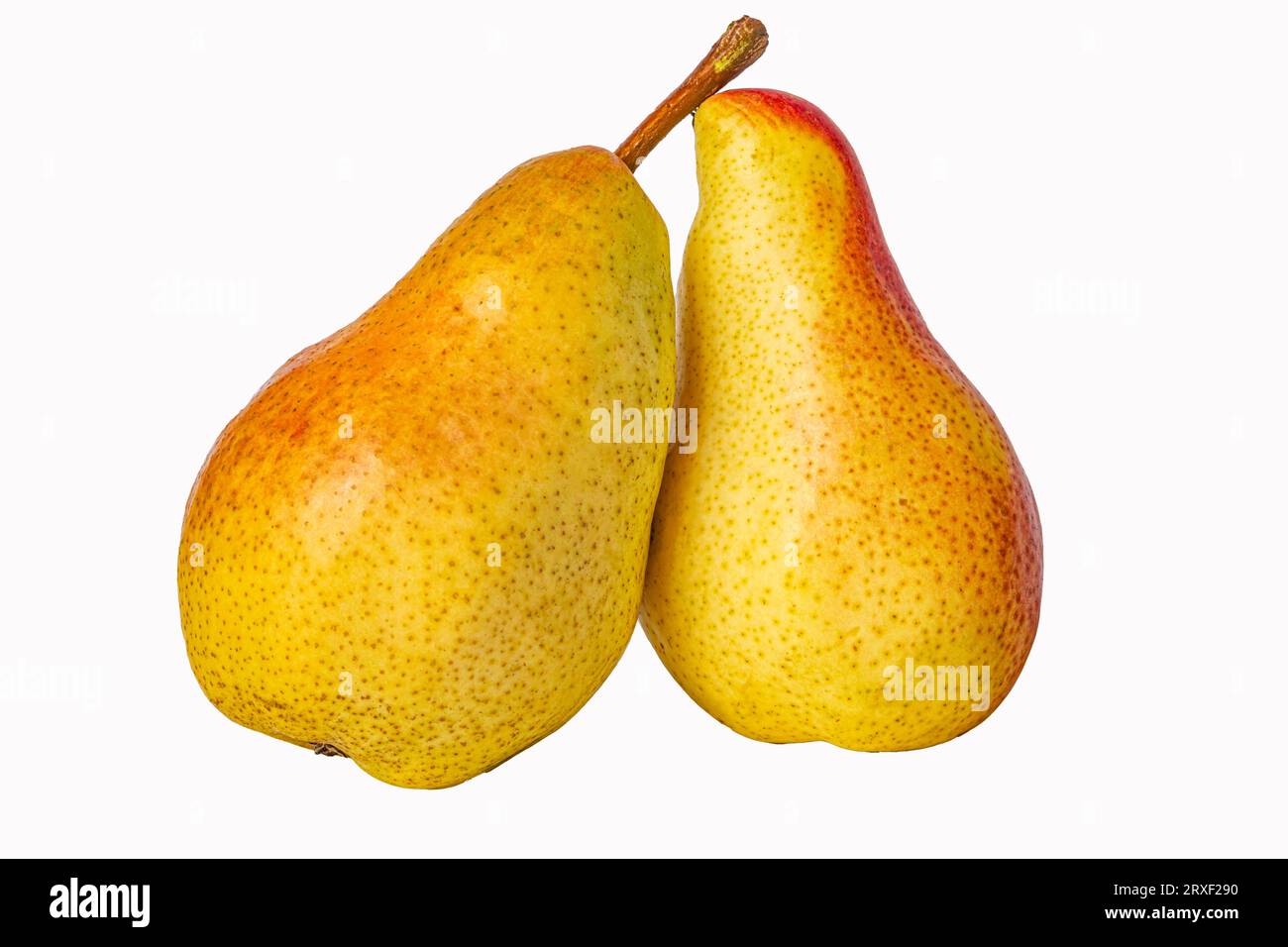 ripe forelle pears, isolated on white background. High quality photo ...