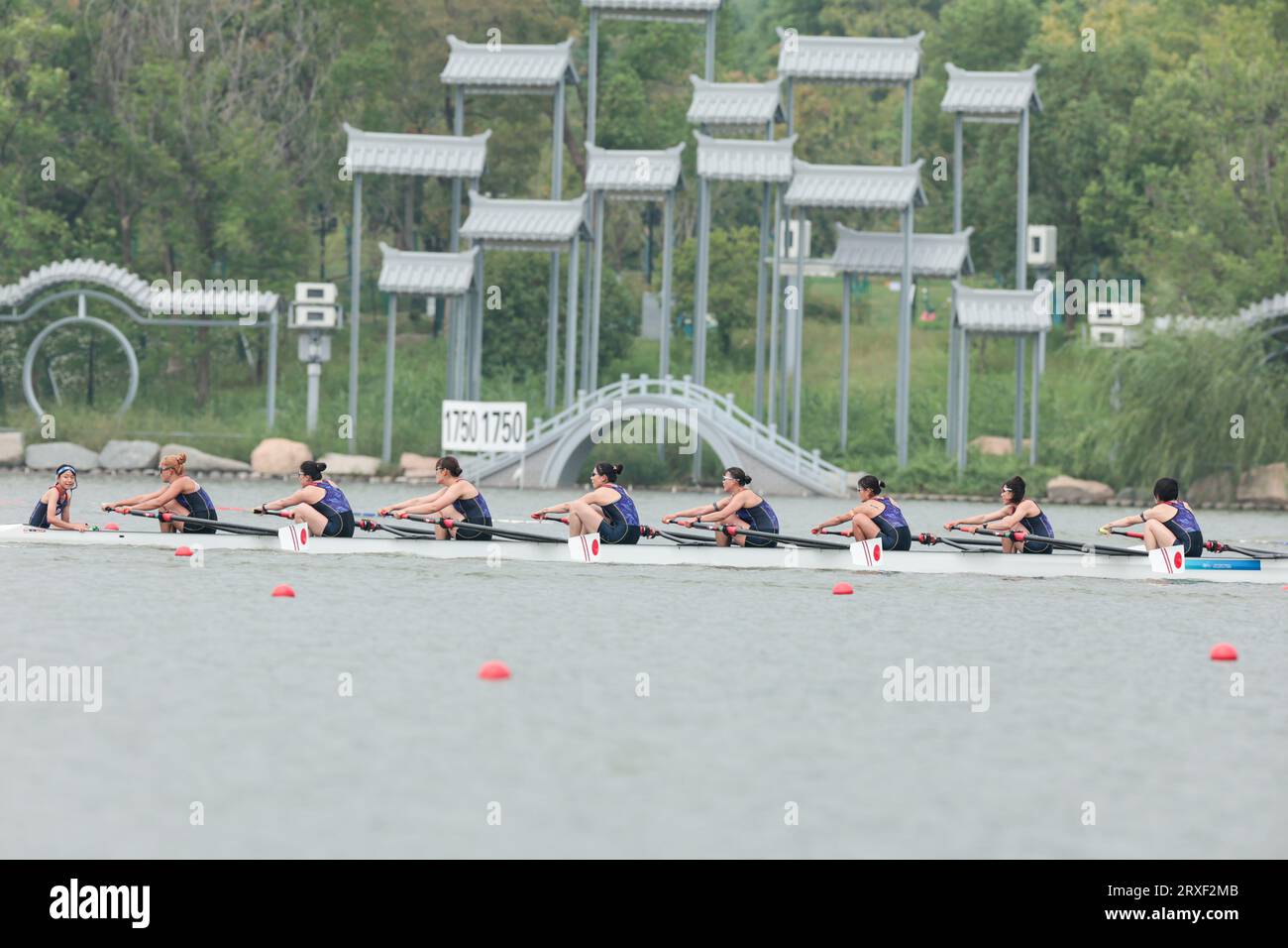 Hangzhou, China. 25th Sep, 2023. Japan team group Rowing : Women's ...
