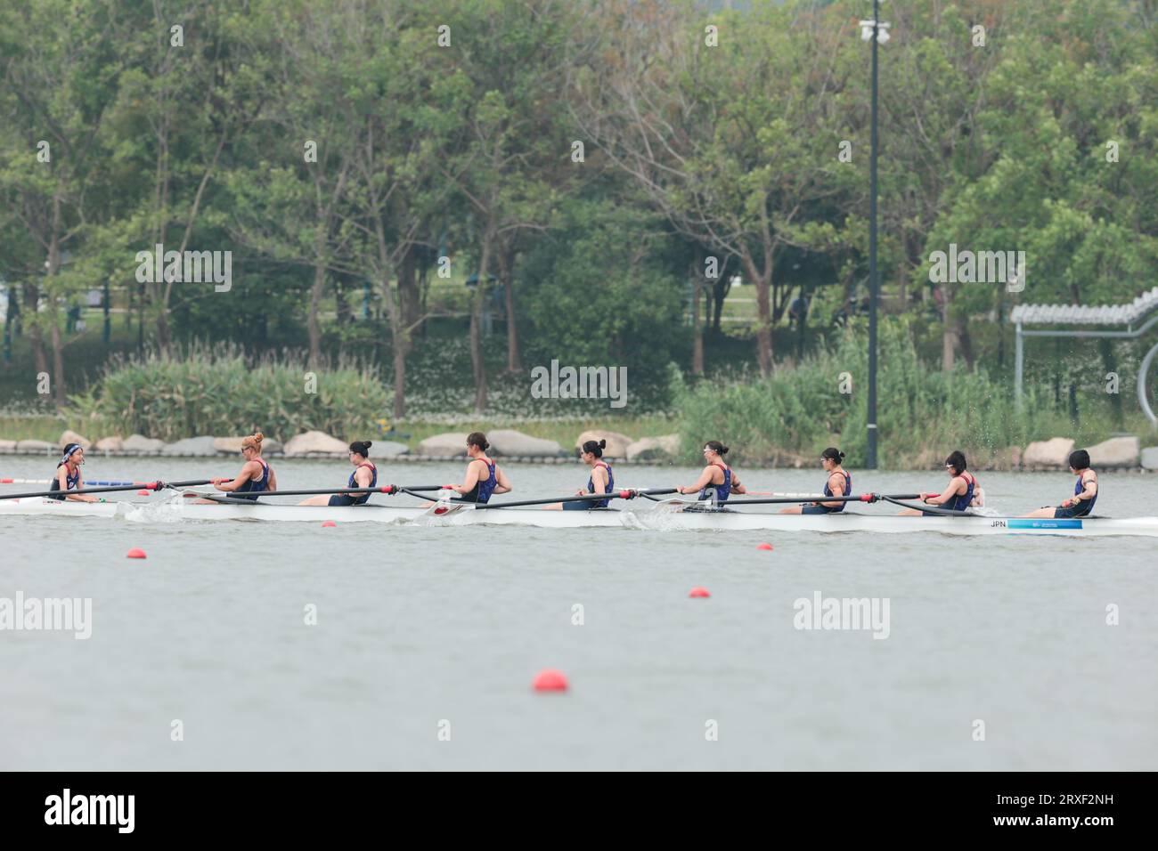Hangzhou, China. 25th Sep, 2023. Japan team group Rowing : Women's ...