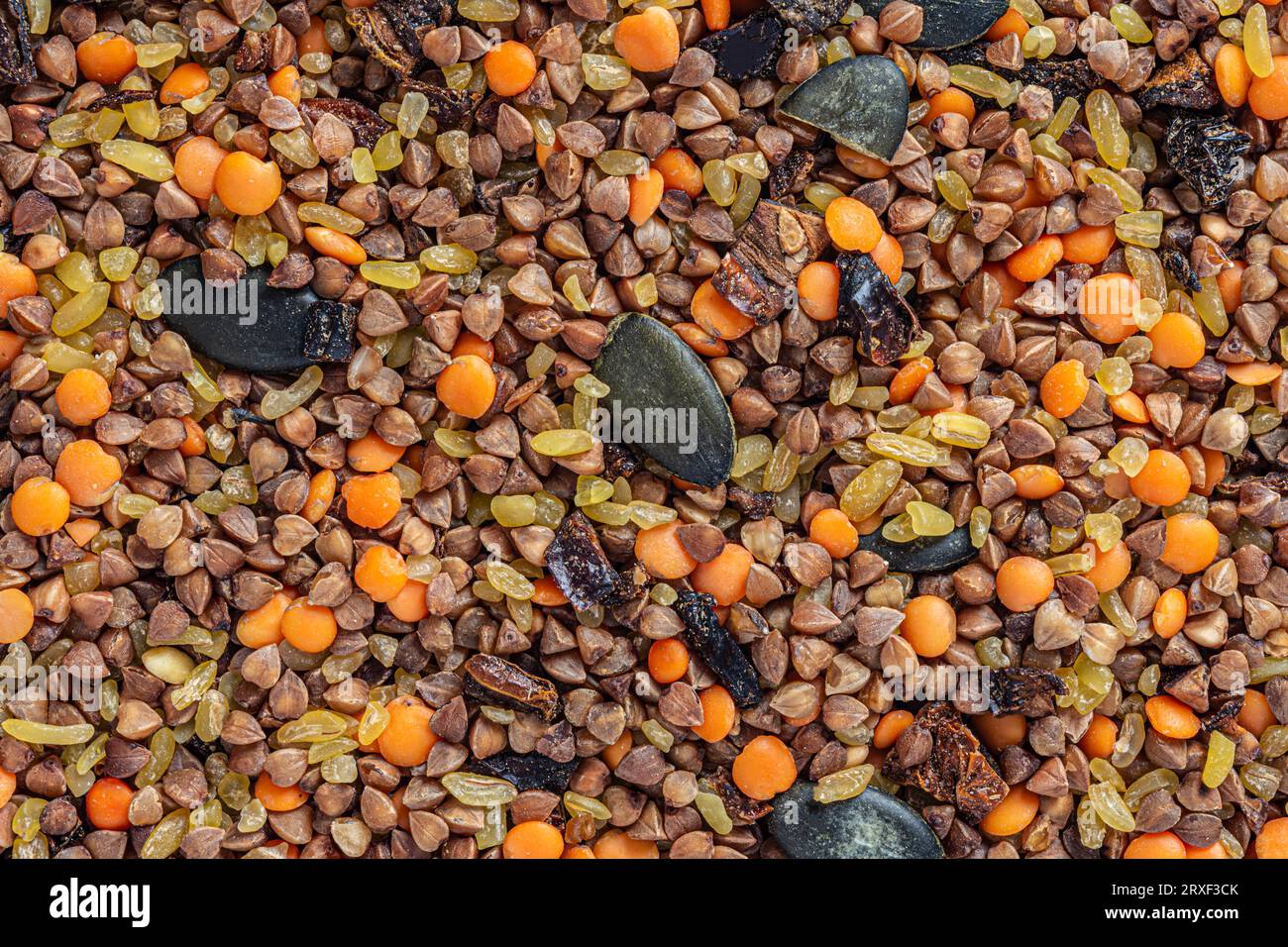 Assortment of roasted vegetable seeds and grains. Food background Stock ...