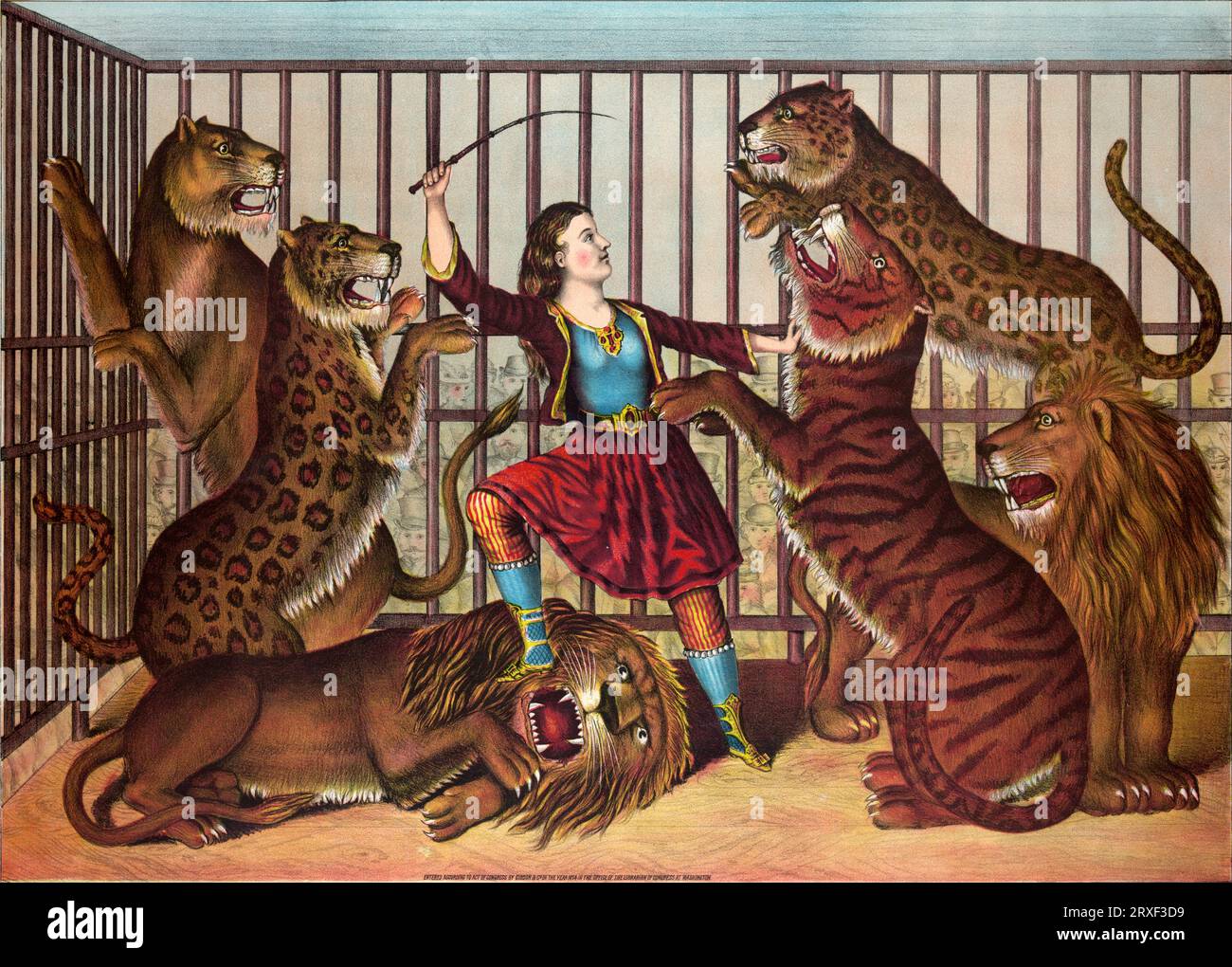 The lion queen, 1874 The lion queen. Print showing a woman lion-tamer ...