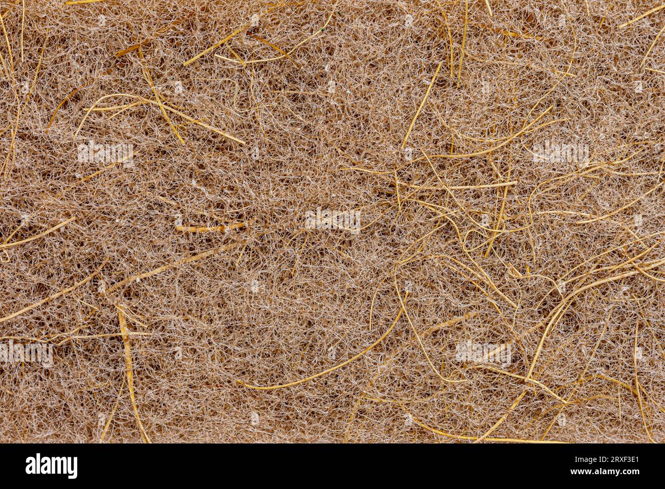 coconut organic fiber, texture, background Stock Photo - Alamy