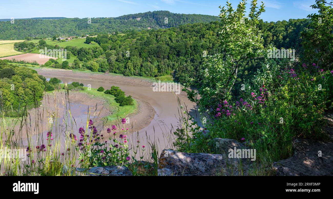 Wintours Leap Viewpoint of River Wye near Lancaut Stock Photo - Alamy