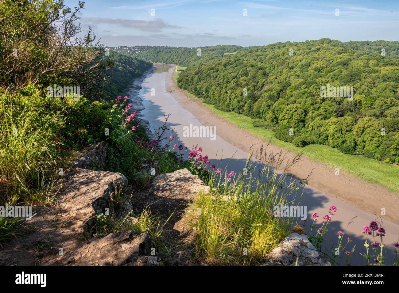 Wintours Leap Viewpoint of River Wye near Lancaut Stock Photo - Alamy