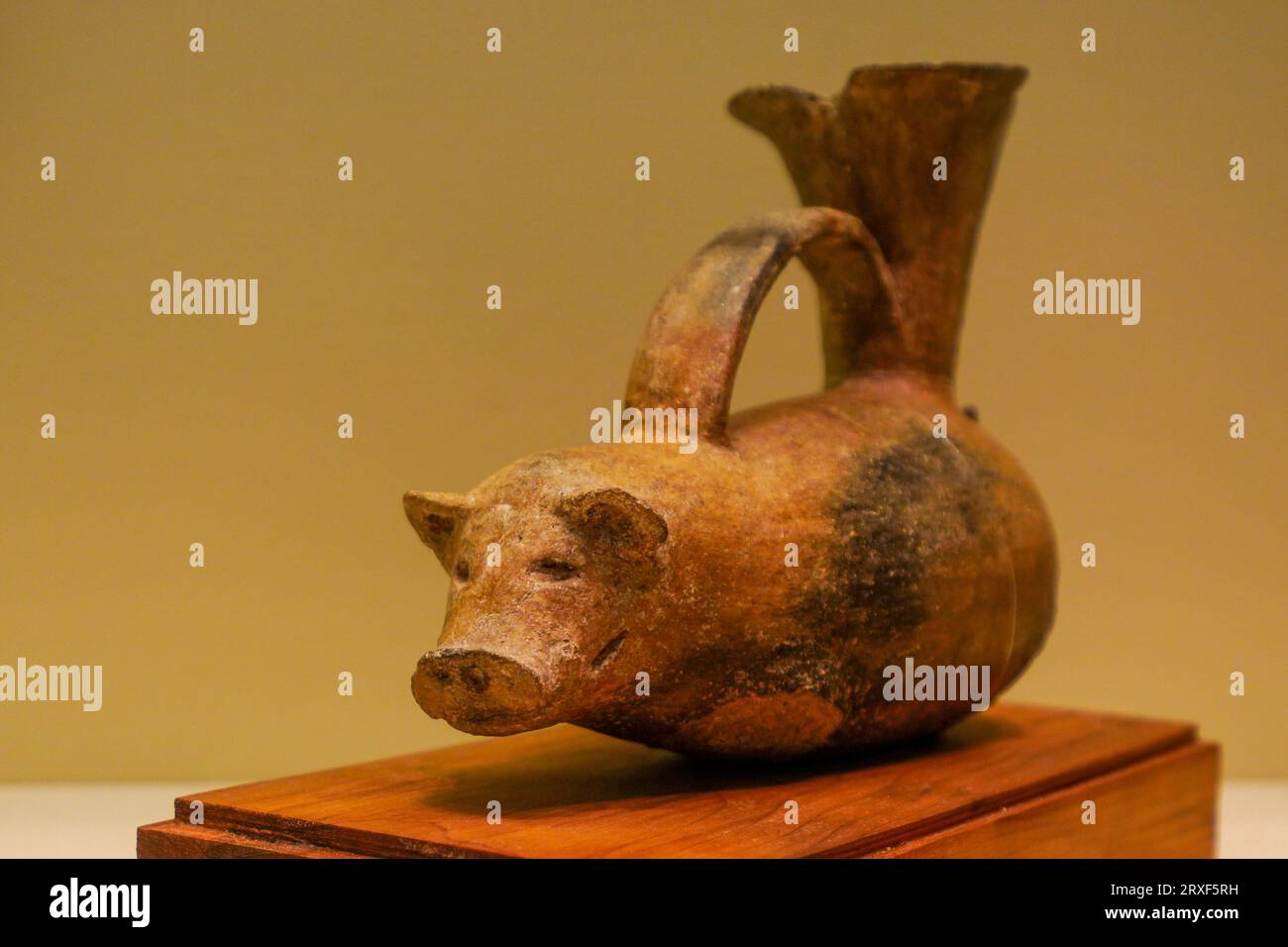 Beijing China, February 17, 2023: Pig shaped pottery of Dawenkou ...