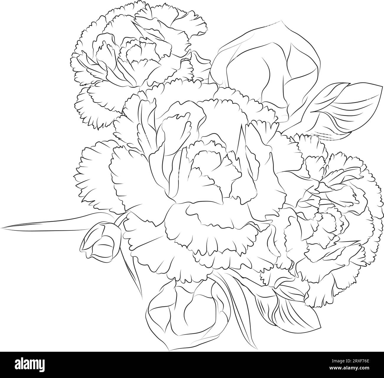 Detailed drawing Cut Out Stock Images & Pictures - Alamy