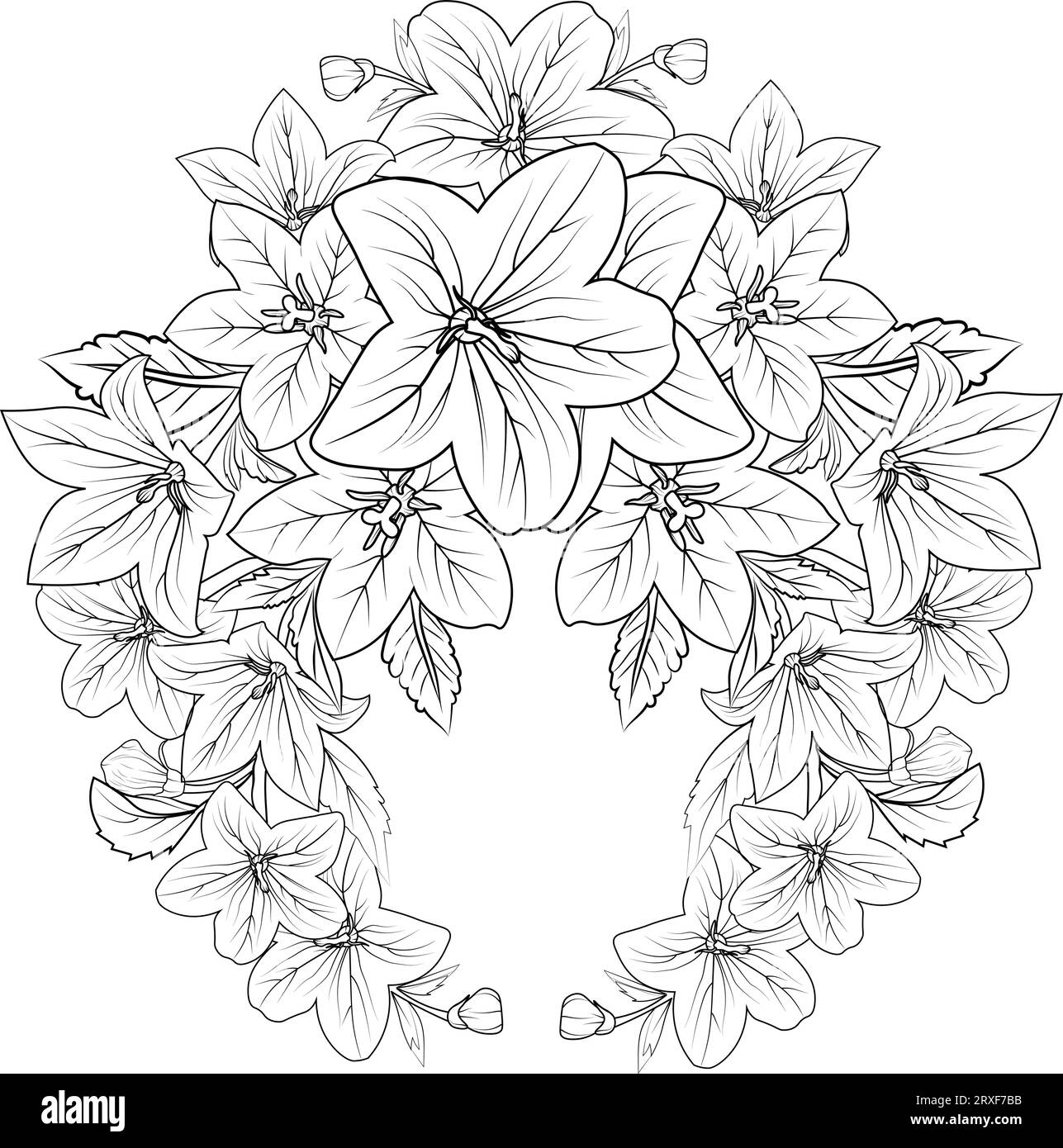 Bellflower bouquet hi-res stock photography and images - Alamy