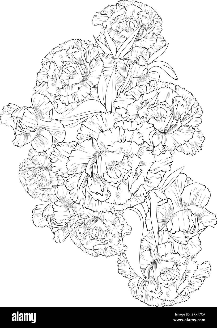 Carnation Tattoo Outline