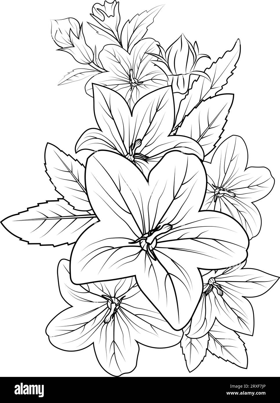 Creeping hand Black and White Stock Photos & Images - Alamy