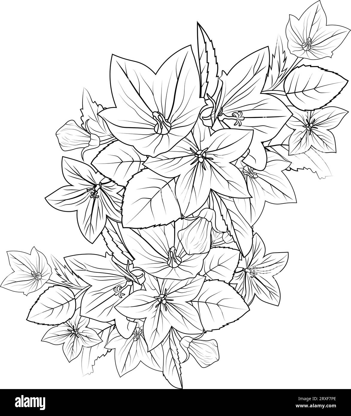 Vintage coloring books Stock Vector Images - Alamy