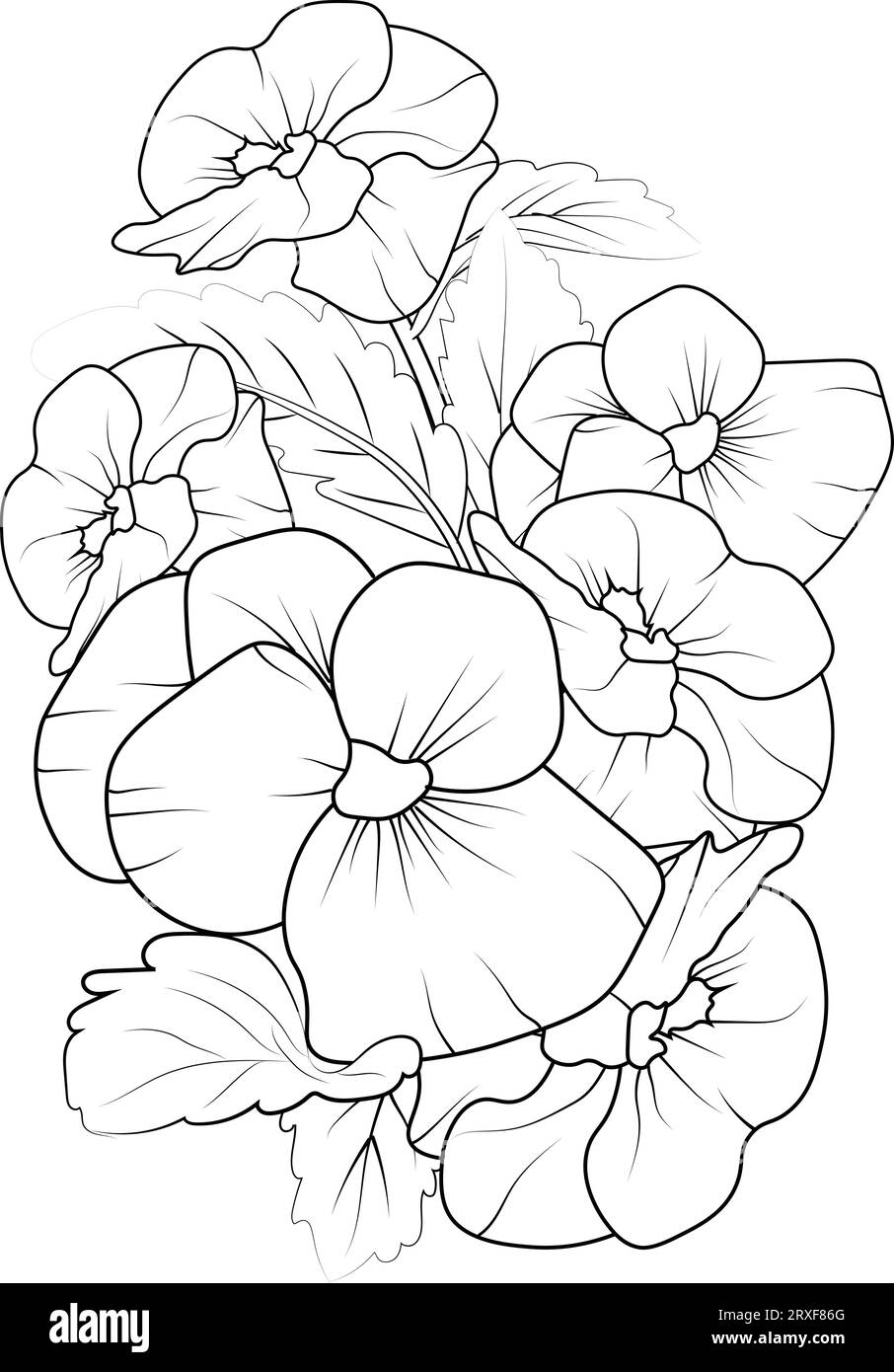 Violet Flower Coloring Page