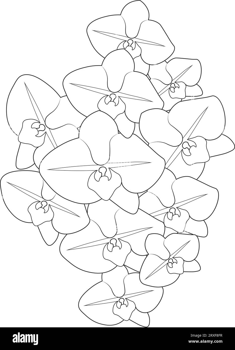 Black silhouette of orchid flowers hi-res stock photography and images ...