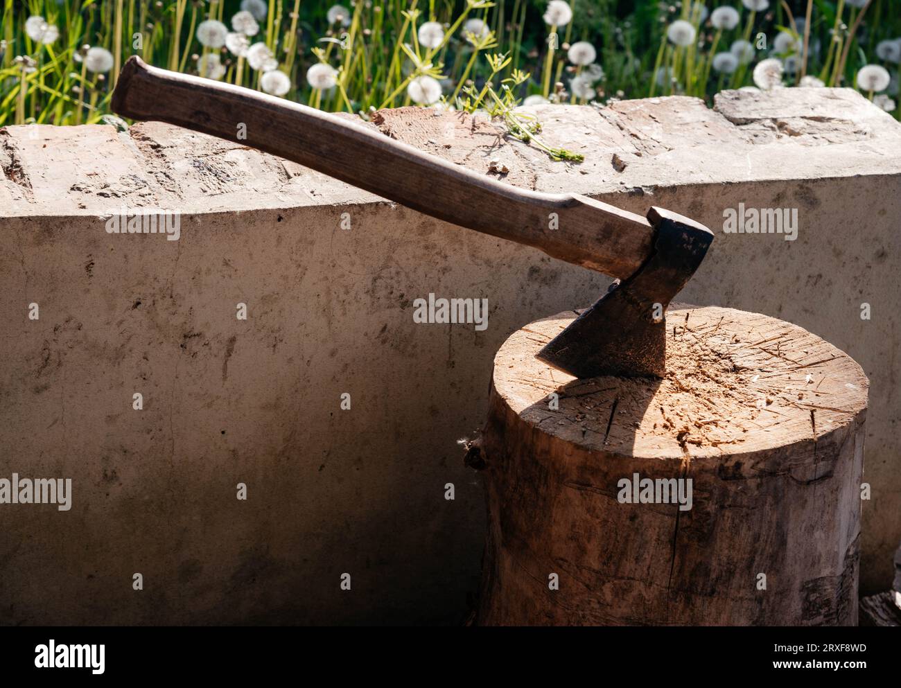 One old hatchet inserted in a stump in the area outdoors Stock Photo ...