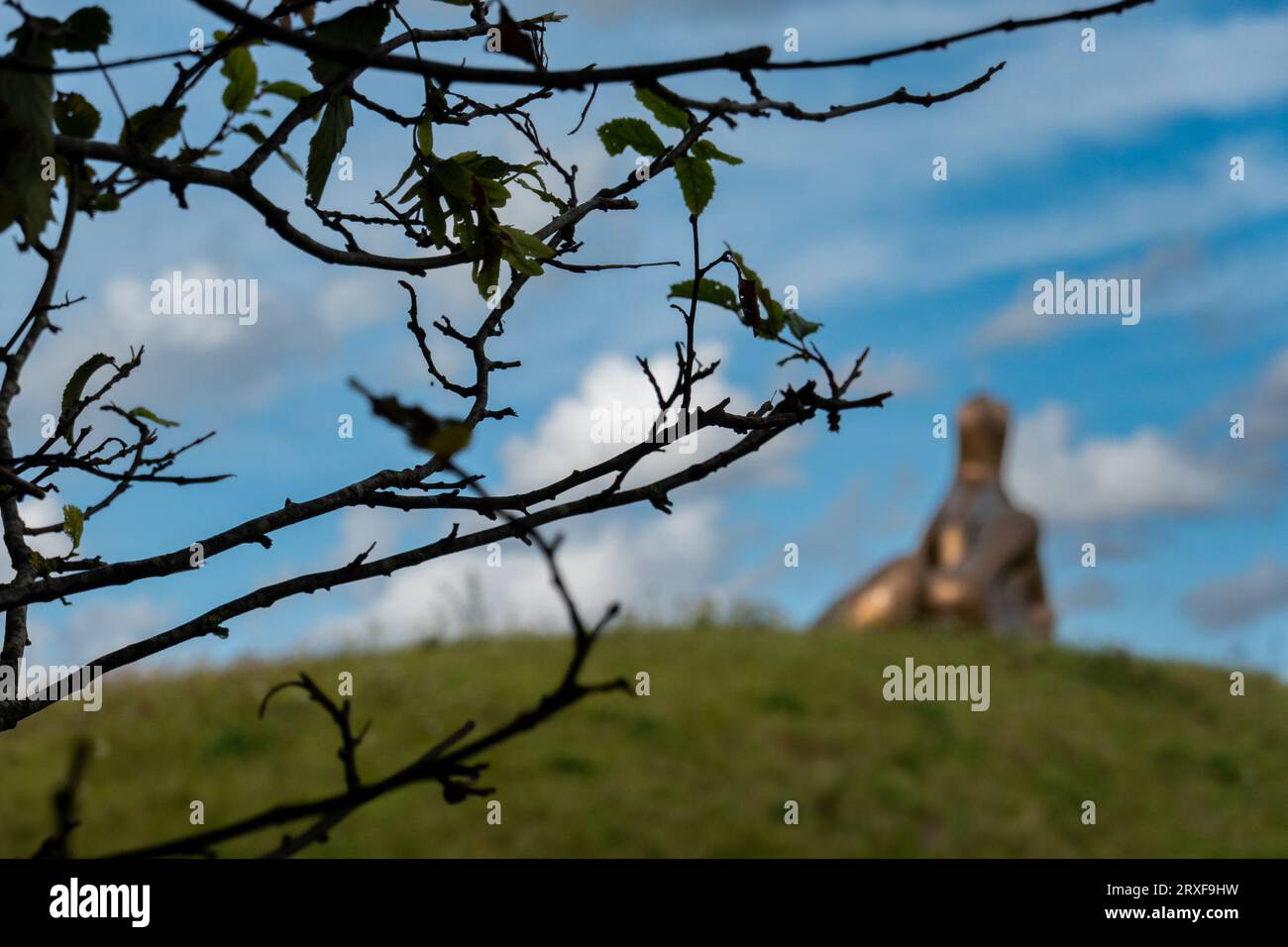 Large reclining figure 1983 hi-res stock photography and images - Alamy