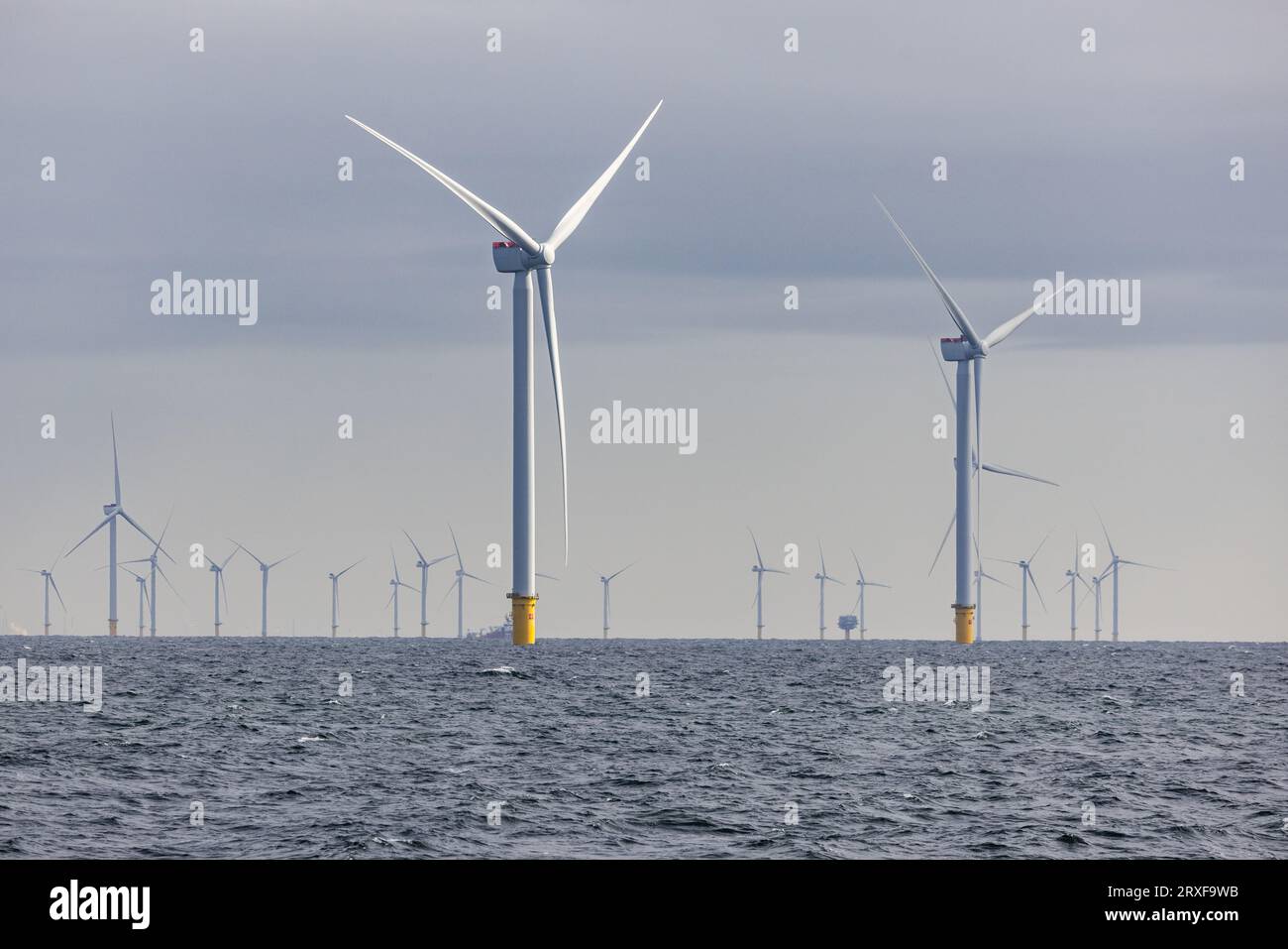 IJMUIDEN - Turbines at sea form the Hollandse Kust Zuid wind farm of ...
