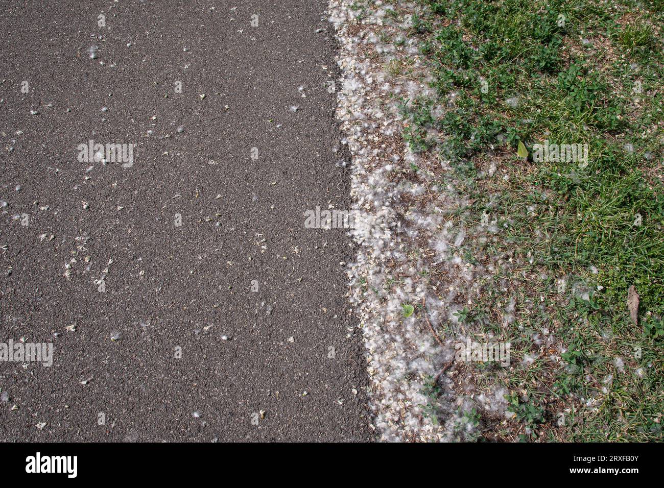 Cotton ground hi-res stock photography and images - Alamy